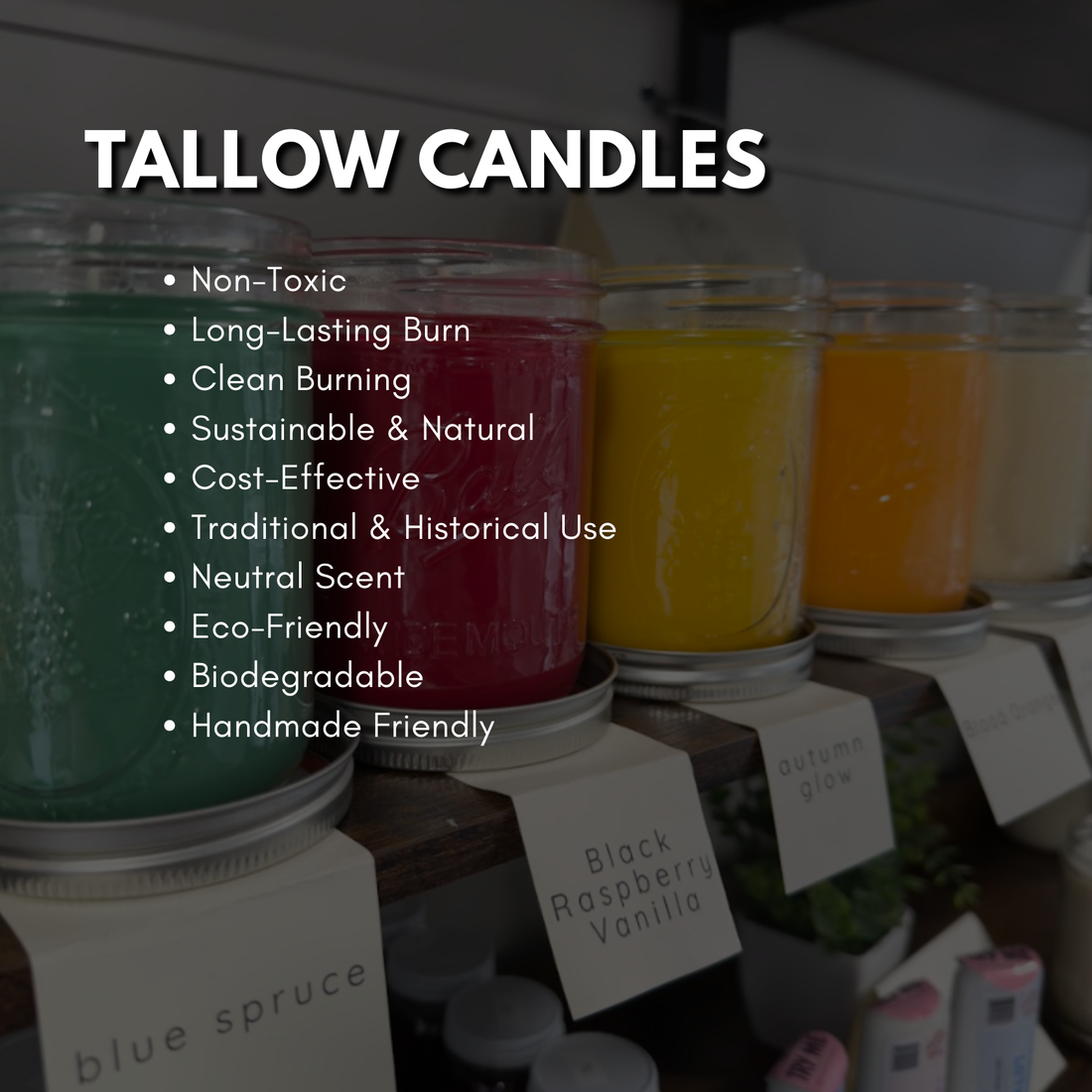 Beef Tallow Candles | Clean-Burning Candles Made in Texas